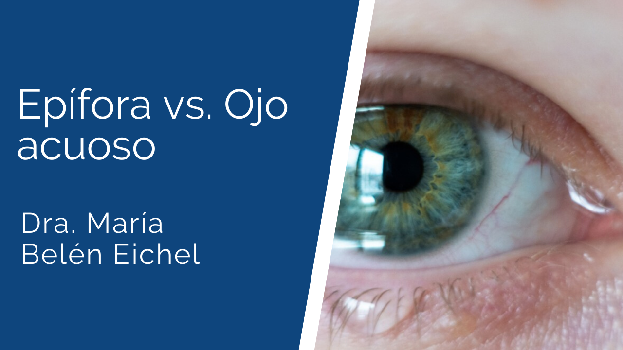 Fundación Zambrano | Epífora